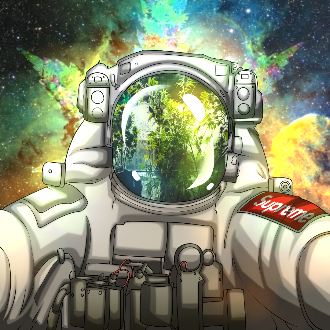 THE NEW DISCOVERY - ASTRONAUT CUSTOM DRAWING